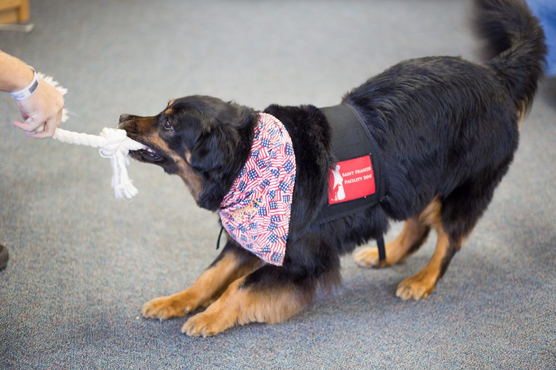 Canine Caregiver - Service Dogs